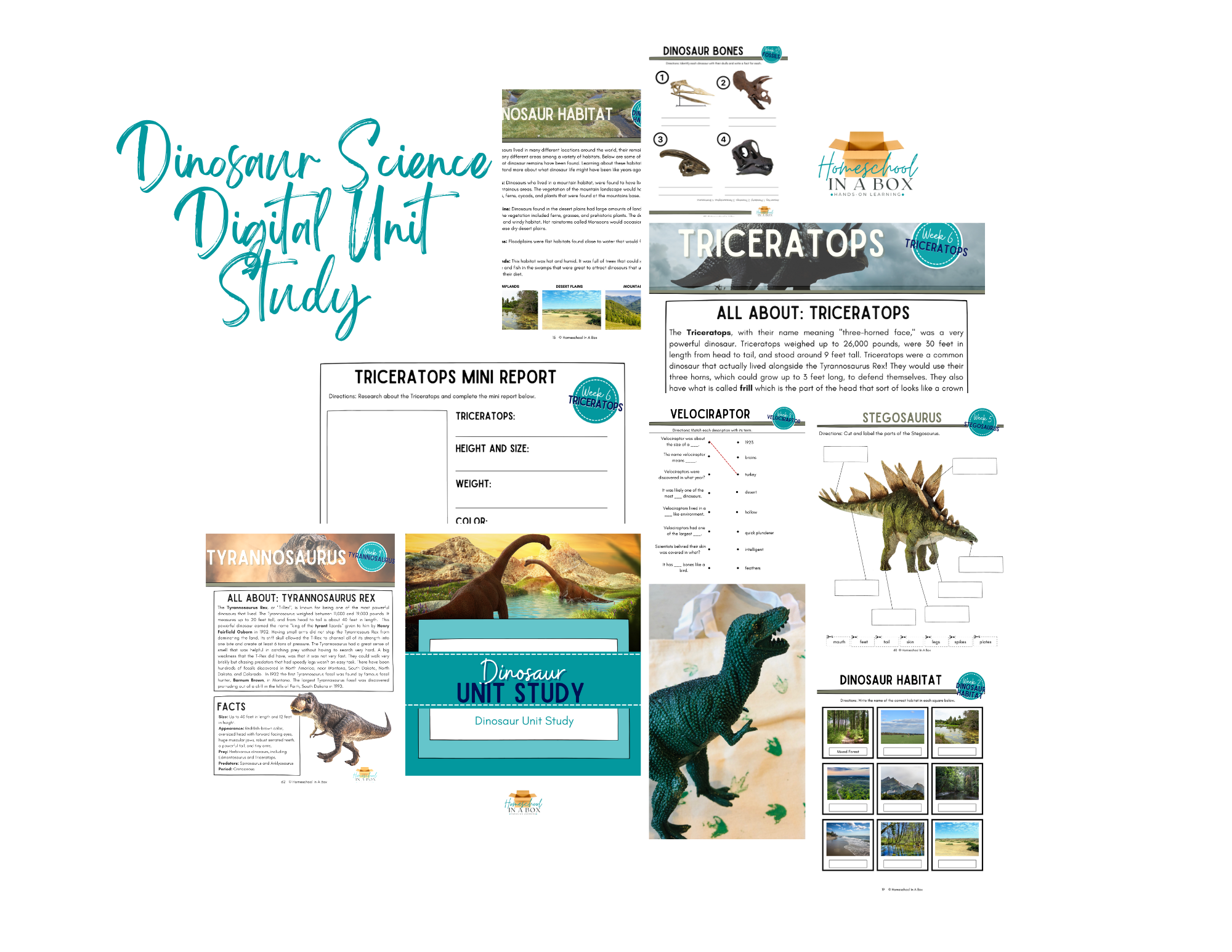 Marine Life Digital Science Unit Study — Homeschool In A Box