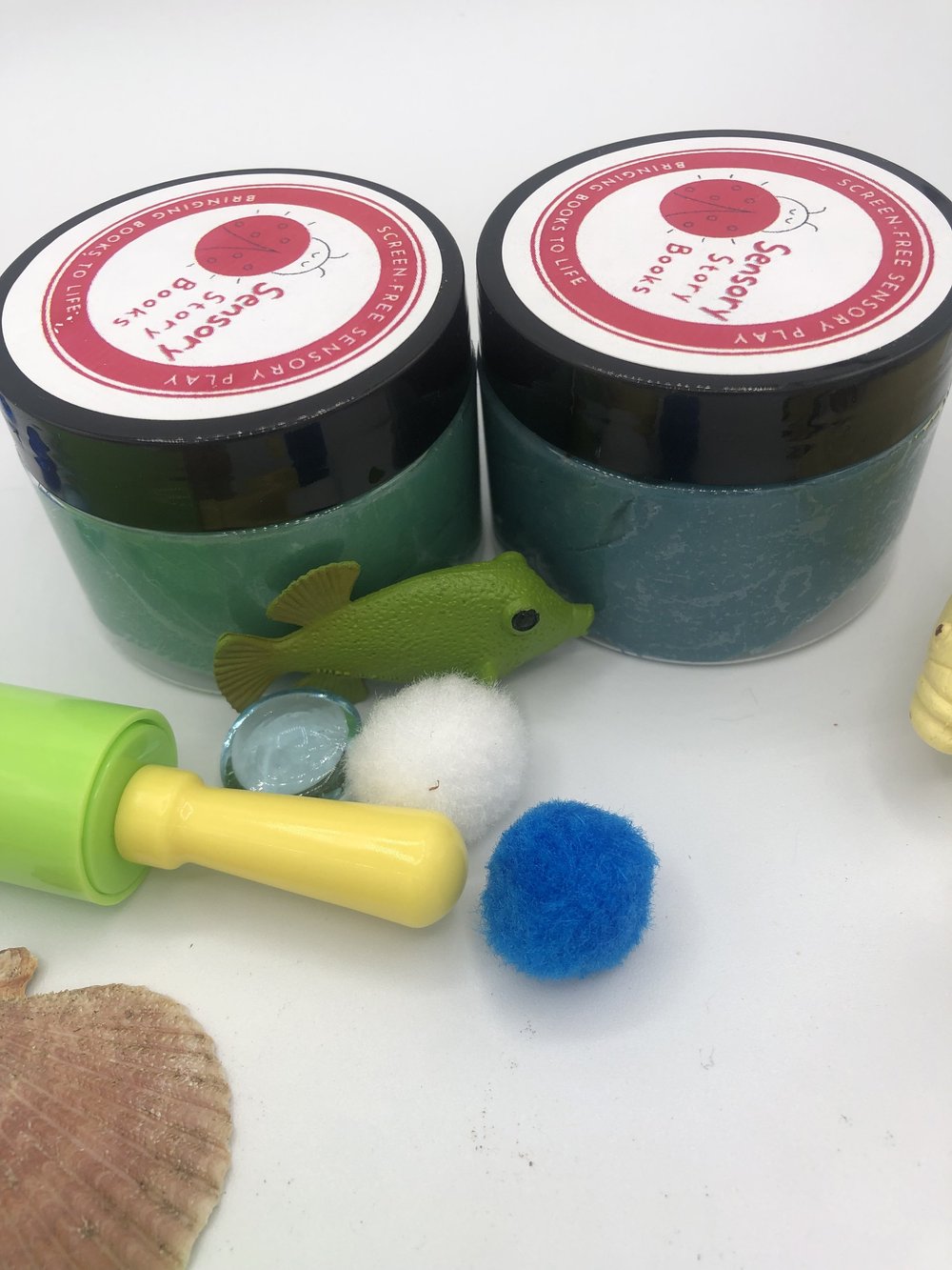 Sensory Box Bundle: Desert, Rainforest, Wetlands — Homeschool In A Box