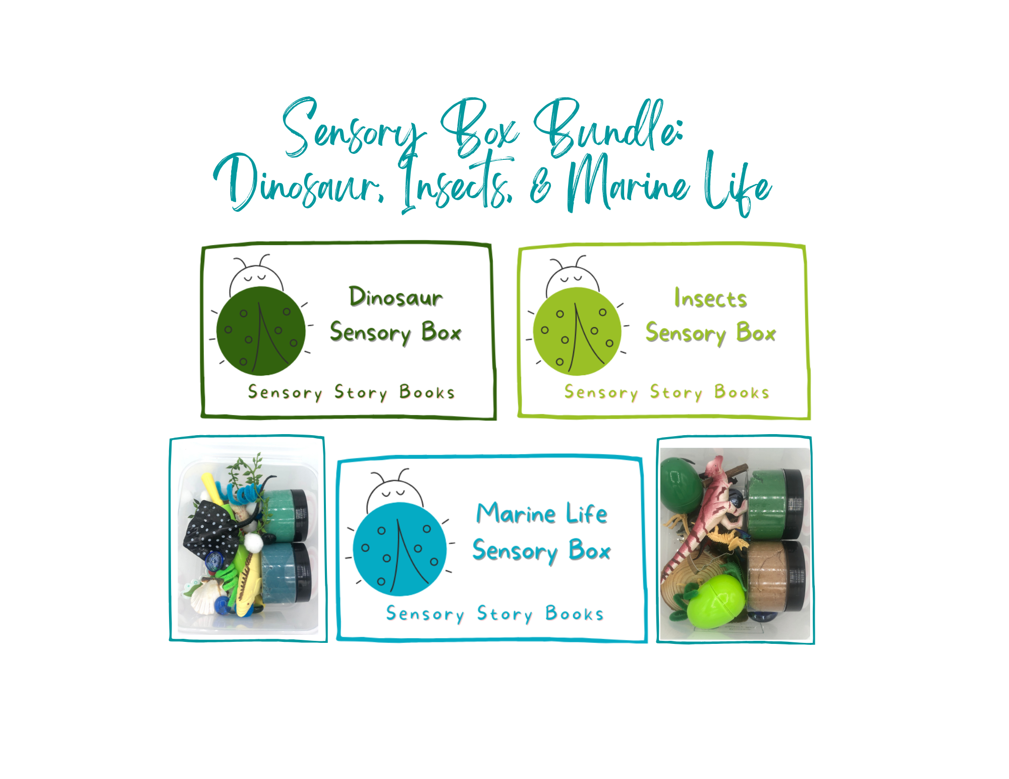 Sensory Box Bundle: Desert, Rainforest, Wetlands — Homeschool In A Box