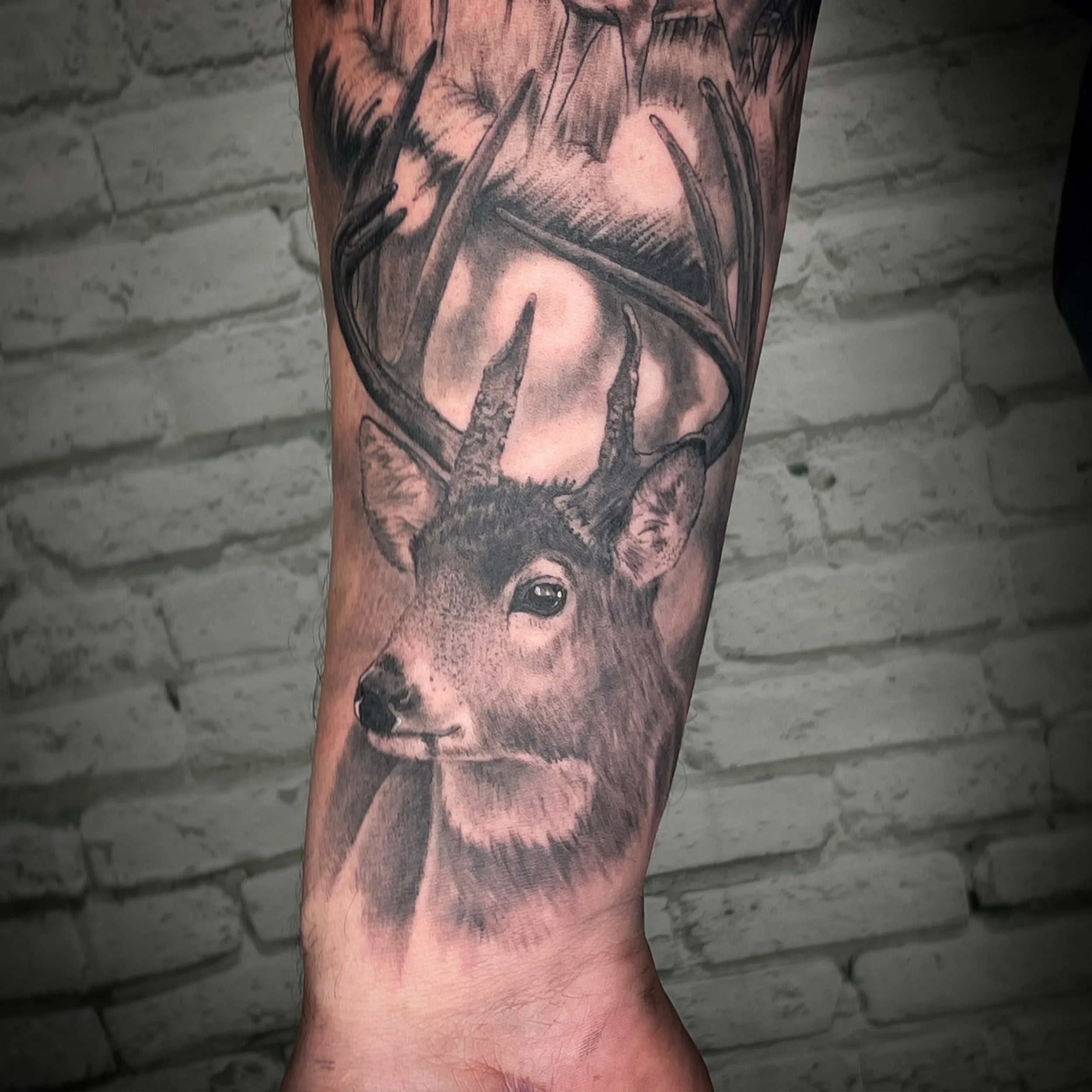 KAYLA — DARKWAVE STUDIOS