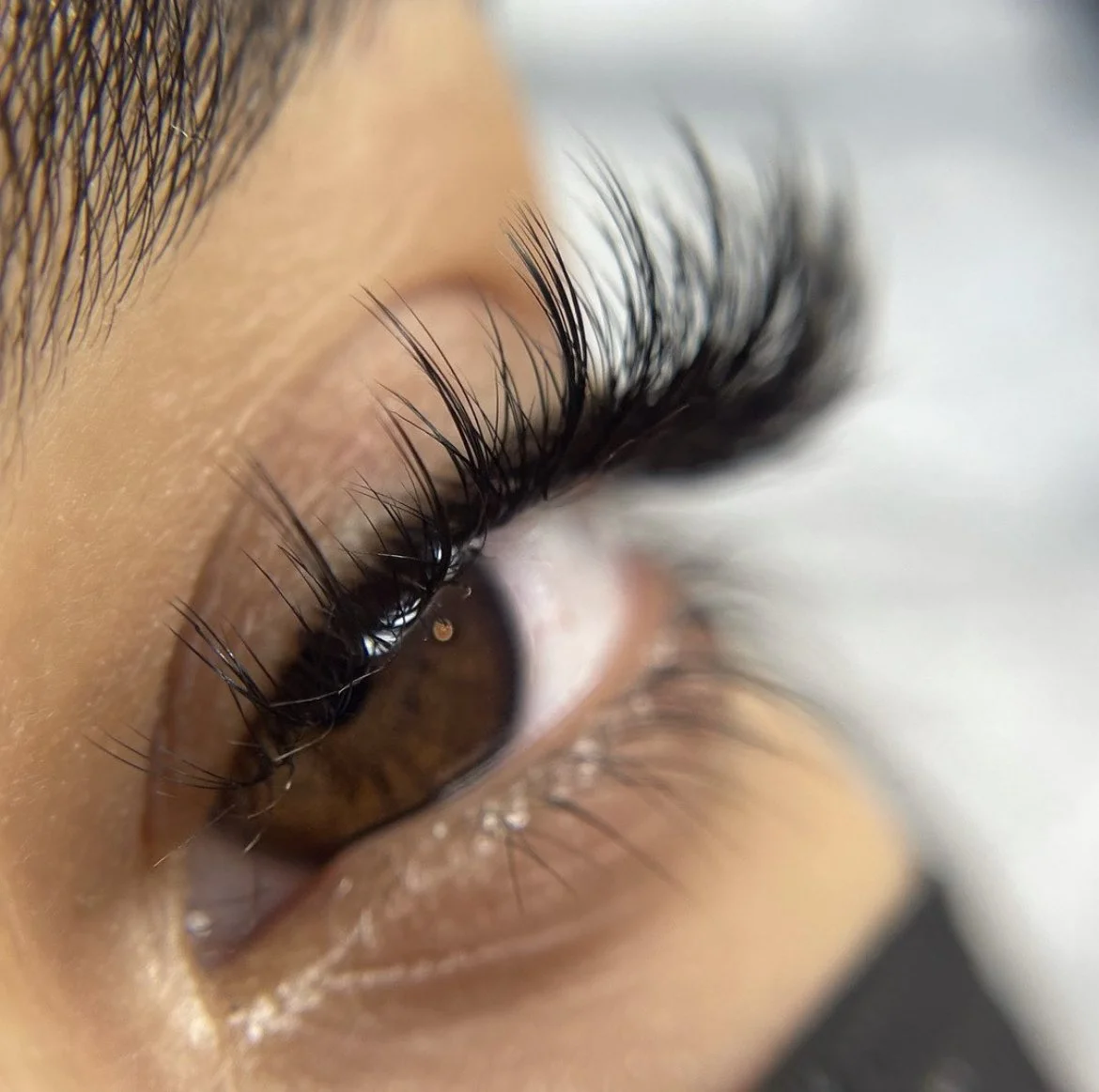 Lash Extensions Services — Extended Studio