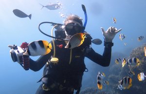 Guam's Coral Reefs — Guam Coral Reef Initiative