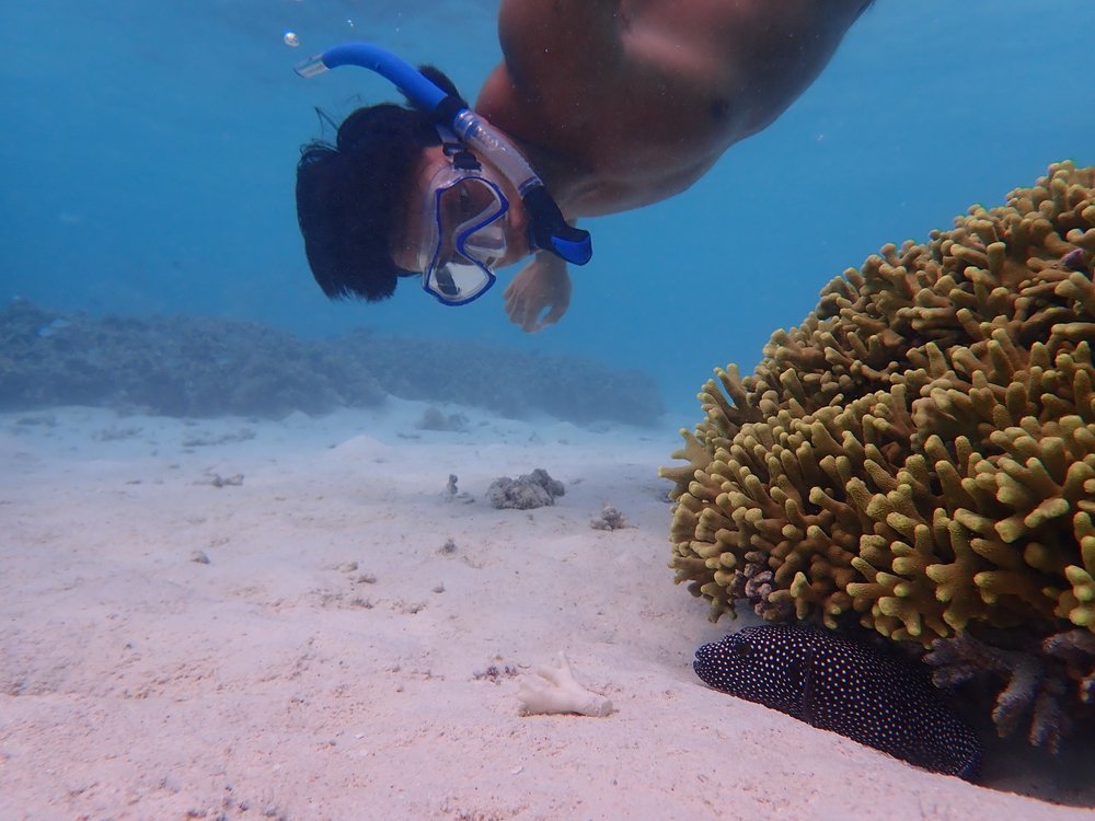 Marianas Reefs — Guam Coral Reef Initiative