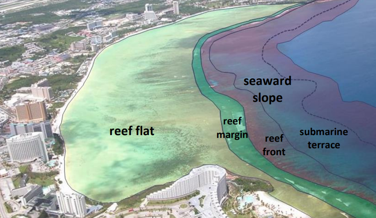 Guam's Coral Reefs — Guam Coral Reef Initiative