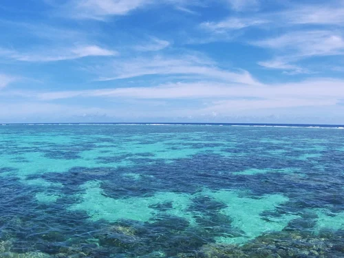 Guam Coral Reef Initiative