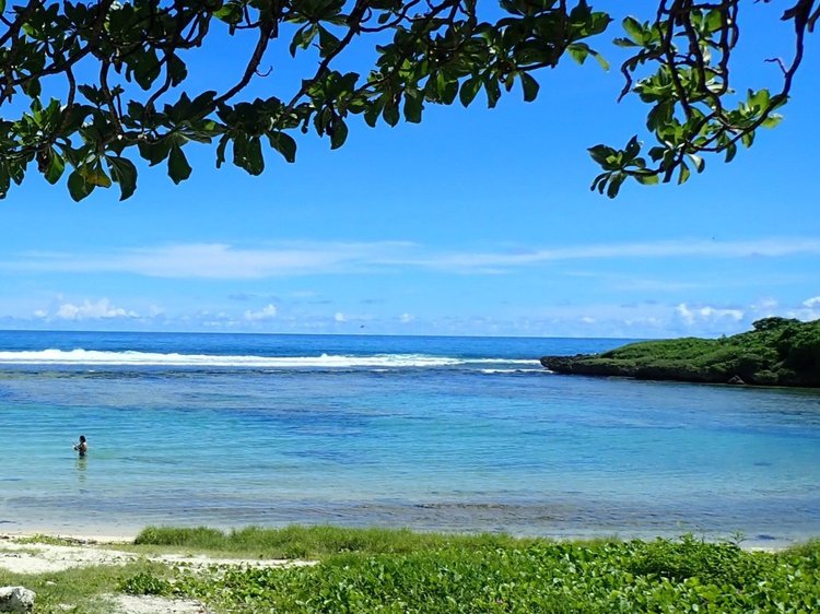 Guam's Coral Reefs — Guam Coral Reef Initiative