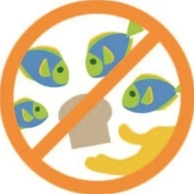 Reef-friendly Tips — Guam Coral Reef Initiative