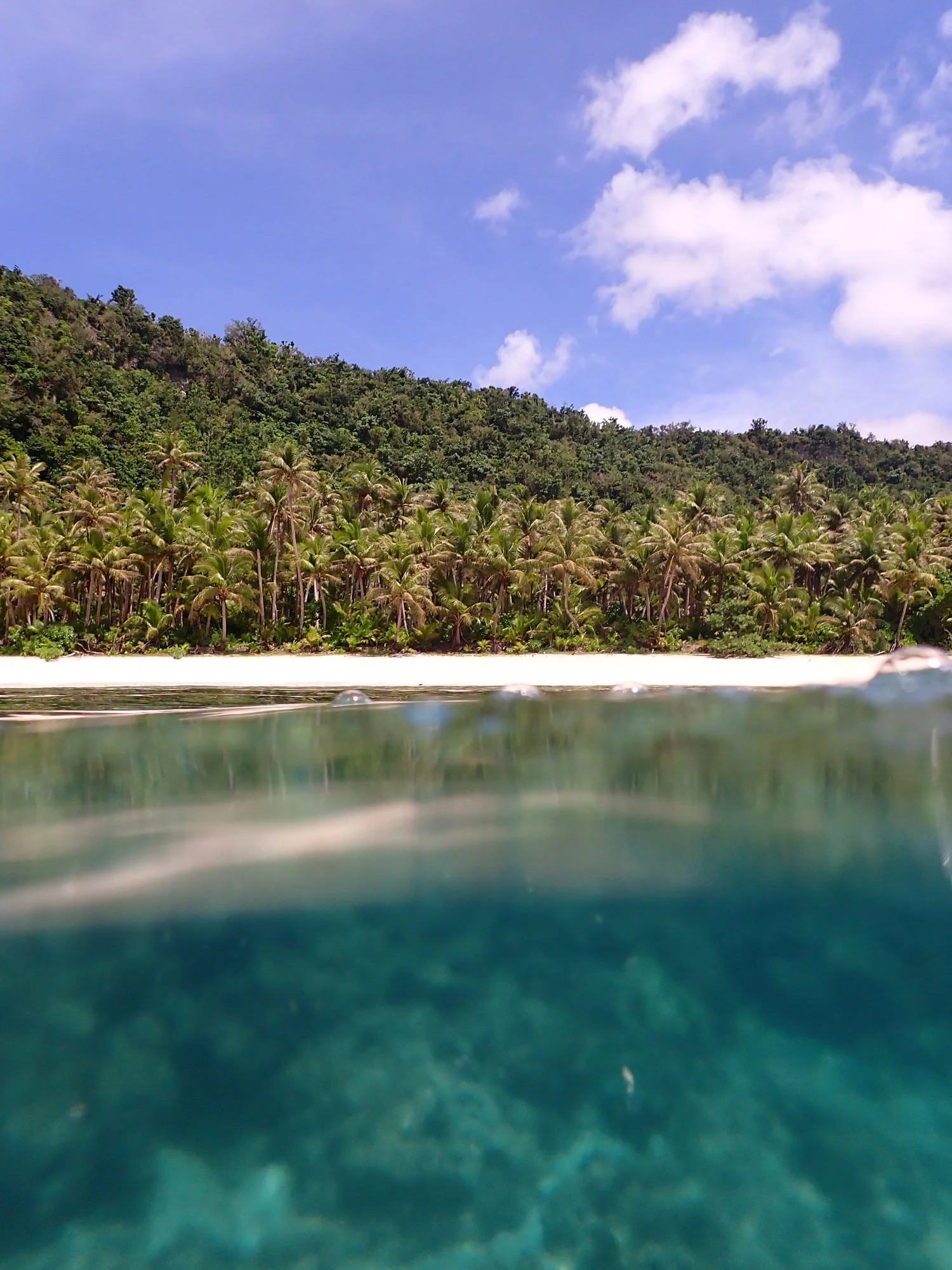 Guam Coral Reef Initiative