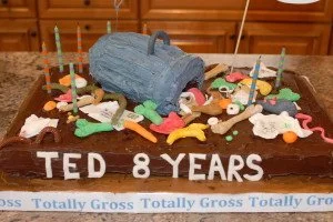 The Totally Gross Birthday Party — Baby Sleep Training | Toddler Sleep ...