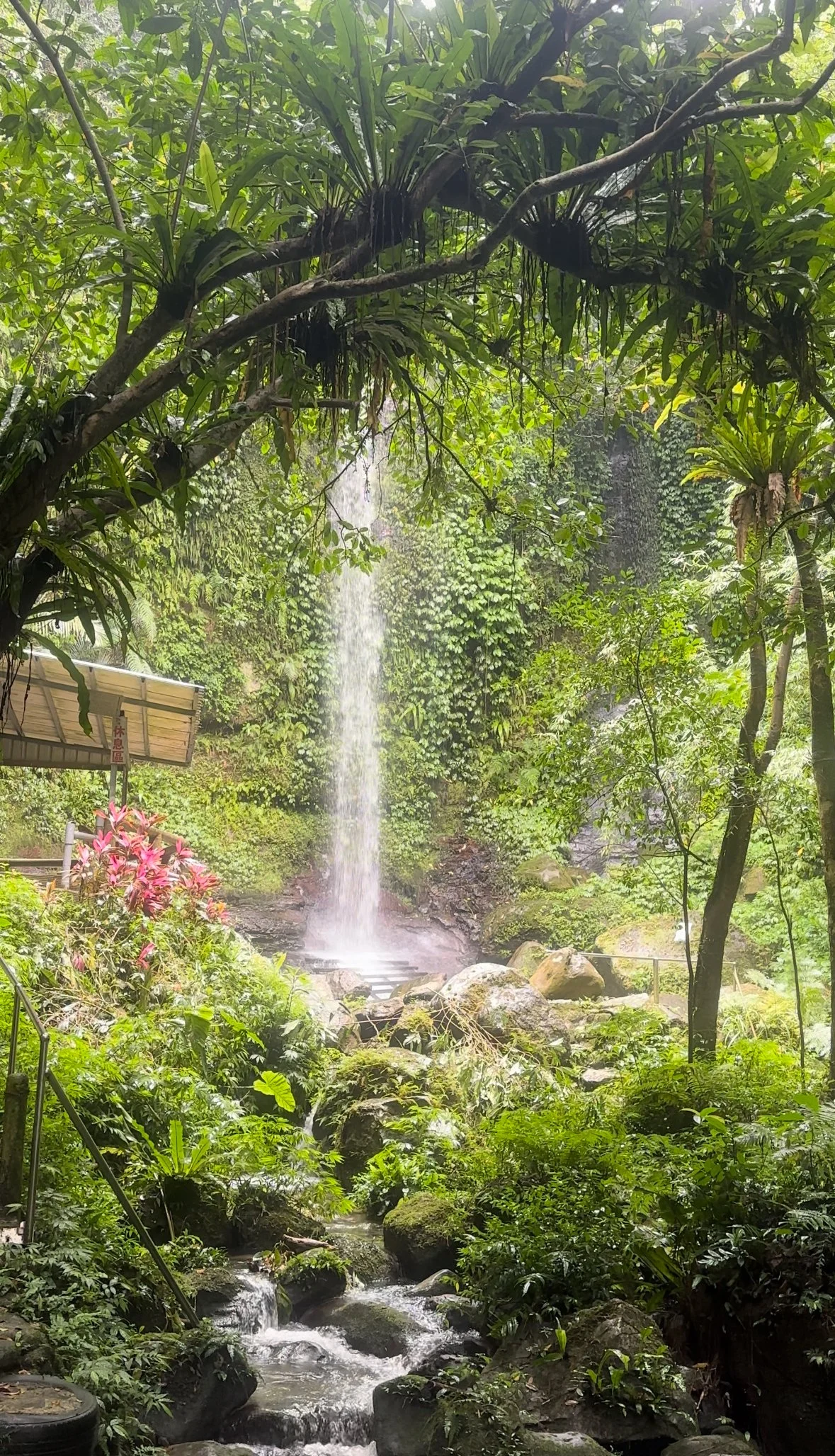 Hidden Taiwan Map and Blog — Tom Rook Art