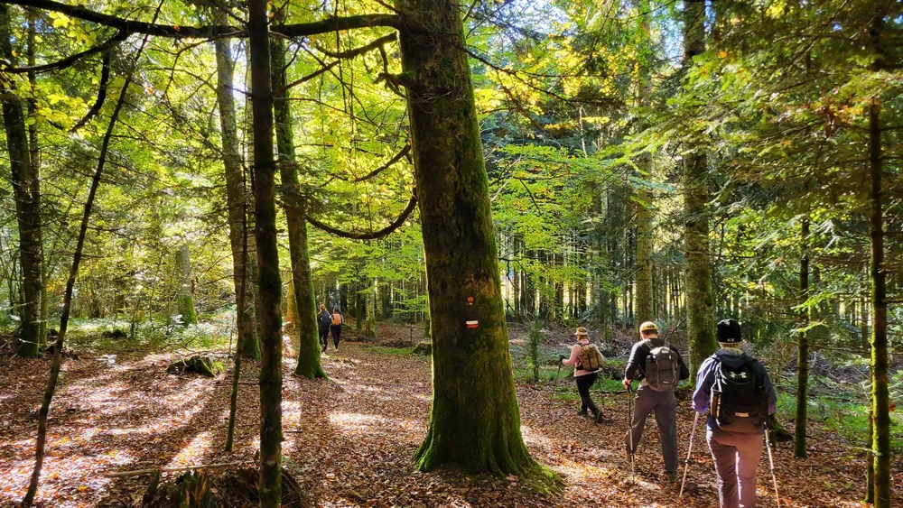 Guided Walking & Cycling Holidays in Europe | Athara Adventures