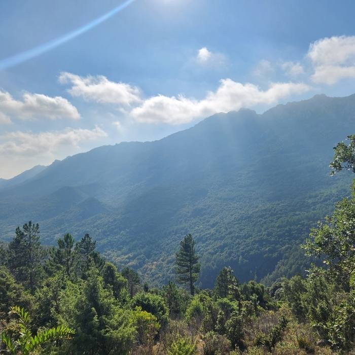 Guided Walking & Cycling Holidays in Europe | Athara Adventures