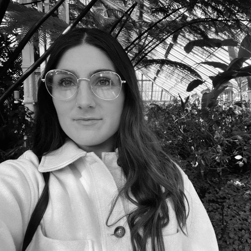 About — ABSORB studios