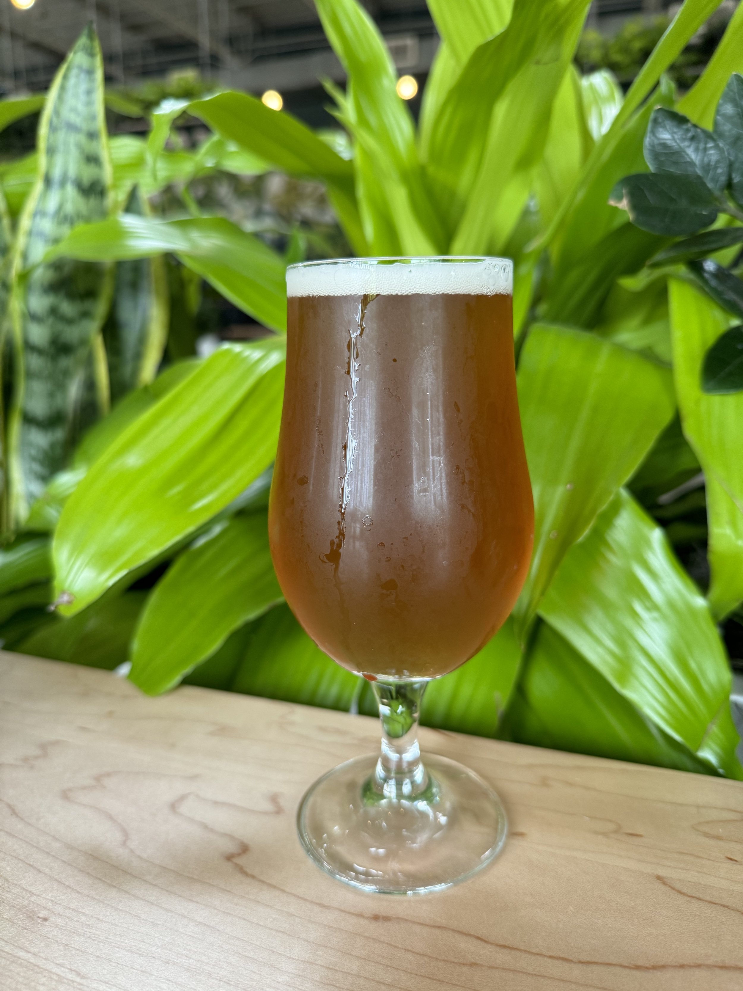 Our Beer | Craft Beer in St. Paul | Wandering Leaf Brewing Company | Local brewpub & taproom ...