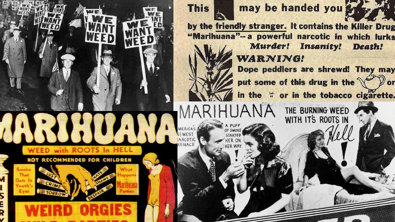 Navigating History: The Journey of Marijuana Prohibition in the U.S ...