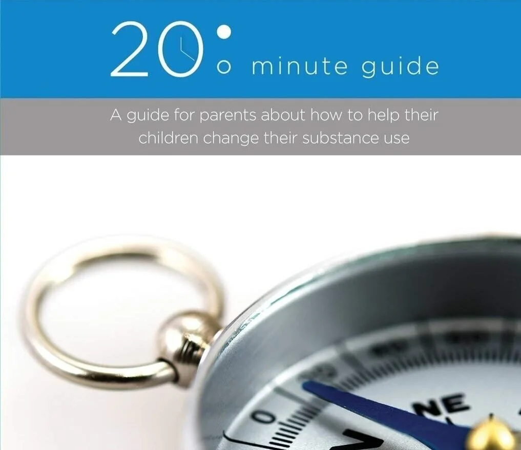 The 20 Minute Guides: For Parents and For Partners