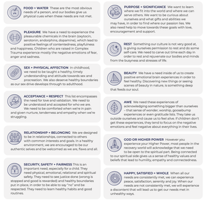 ALIGN With Your Needs - 12 Basic Needs — Tim Fletcher Co.
