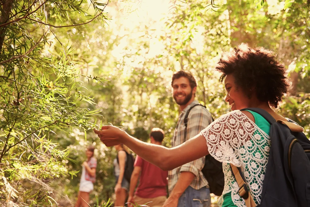 Evergreen Courses | Trauma Recovery Resources by Tim Fletcher Co. — Tim ...
