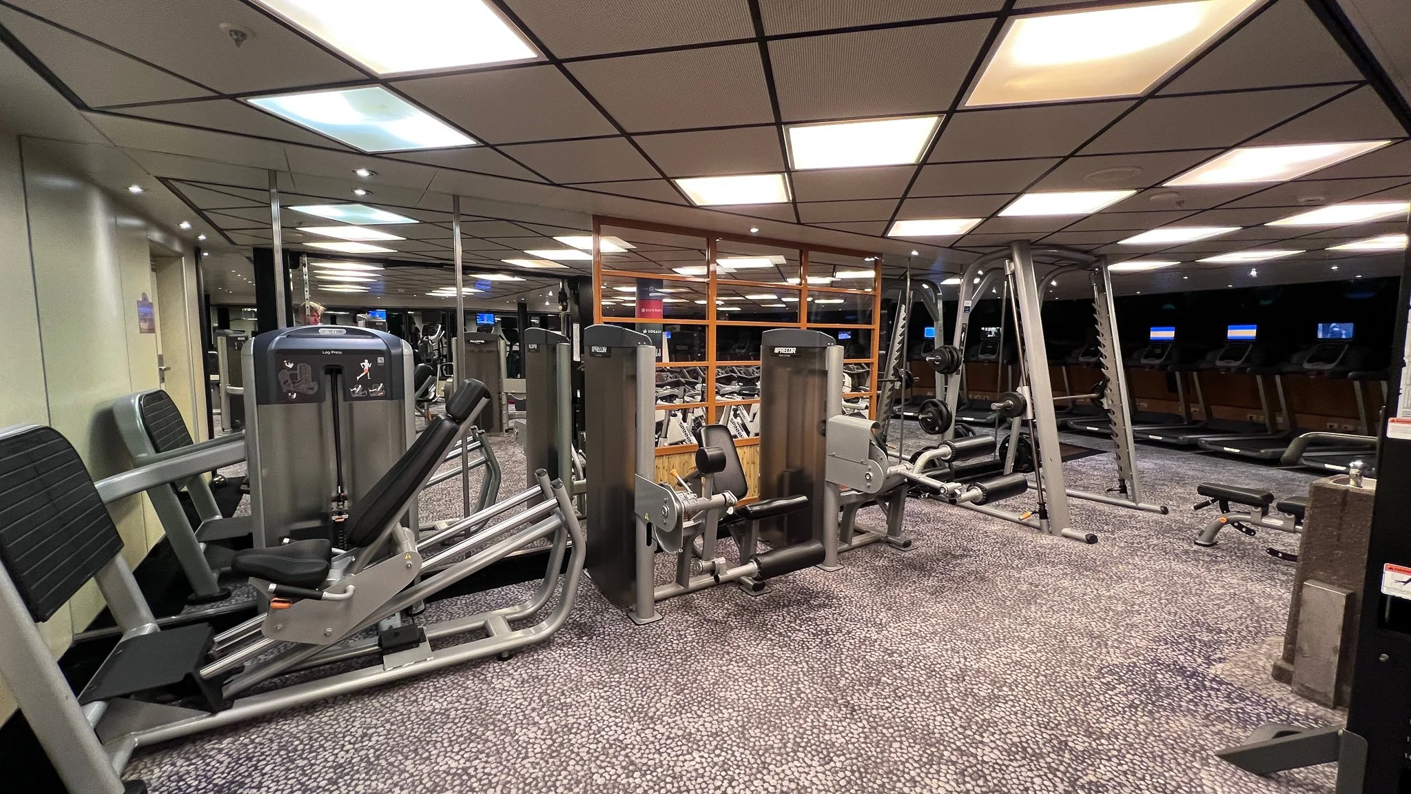 Caribbean Princess Fitness Center — cruisingforone