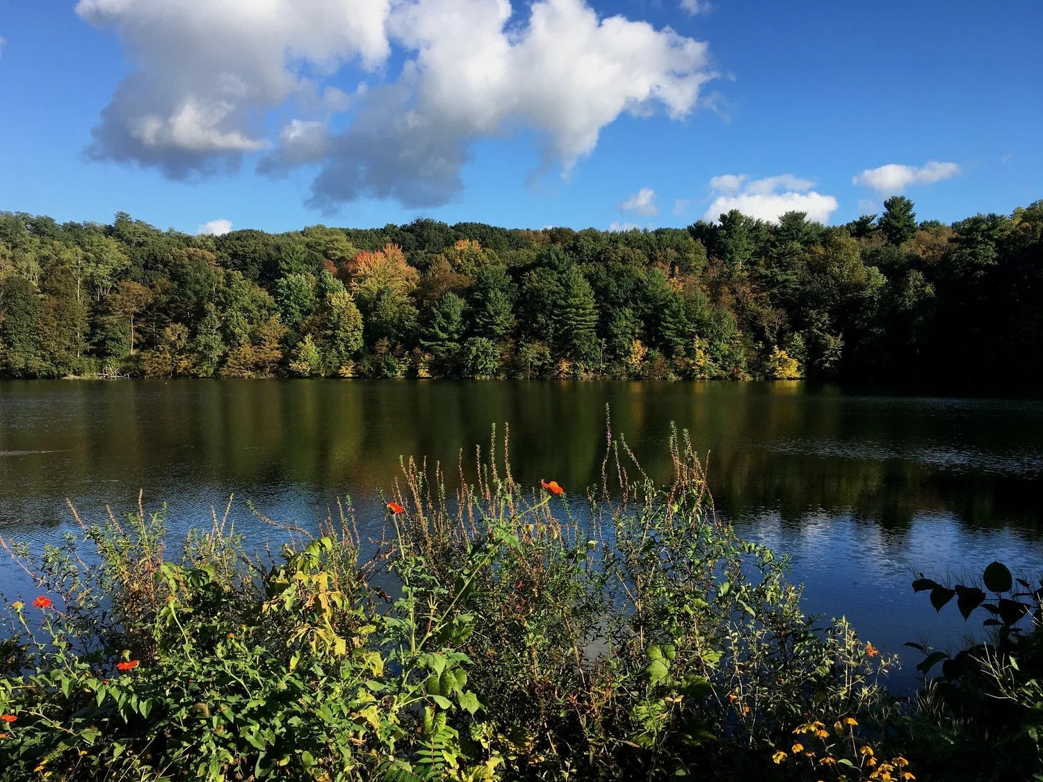 Summit Lake Conservation Group