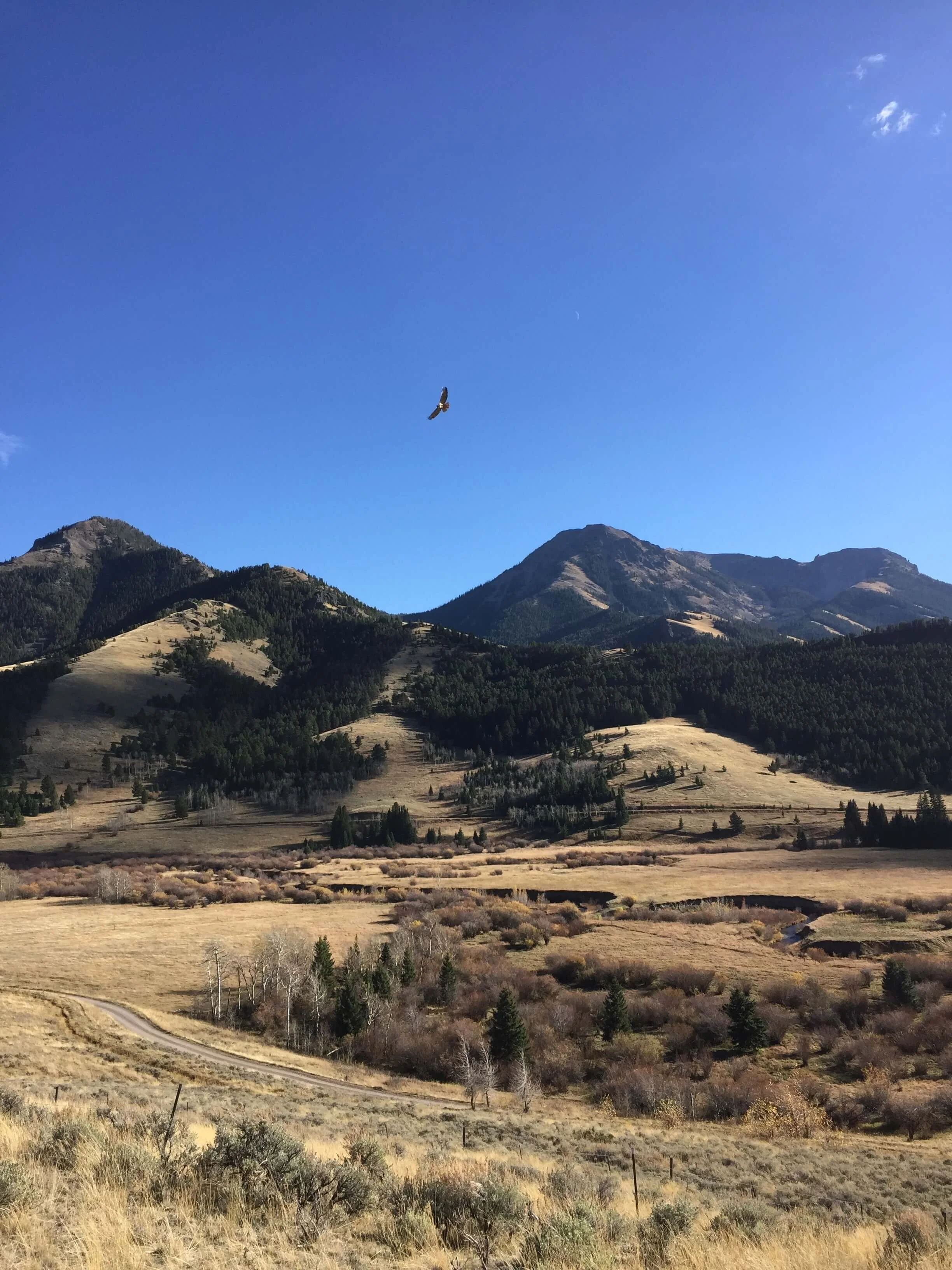 B Bar Ranch