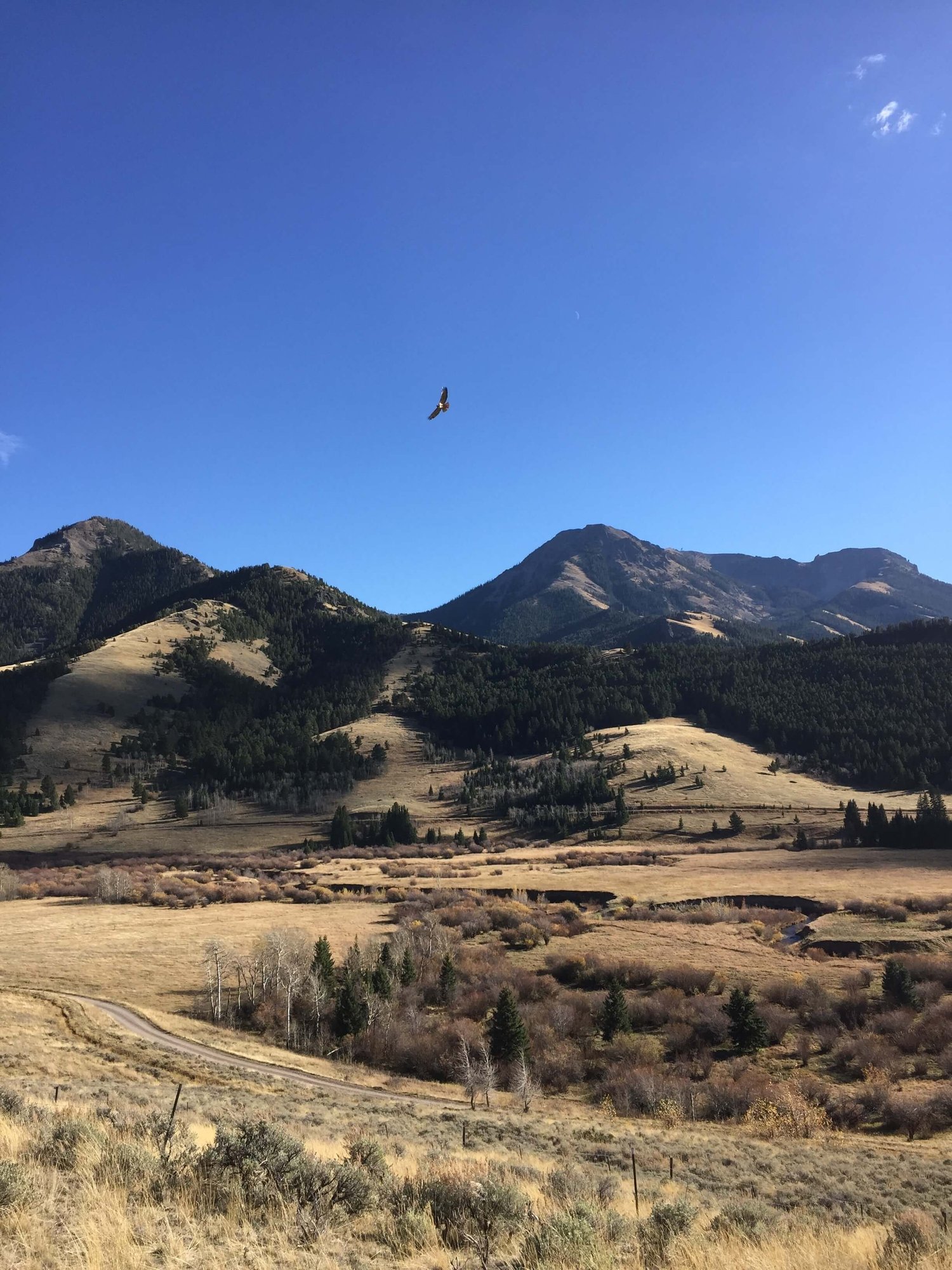 B Bar Ranch