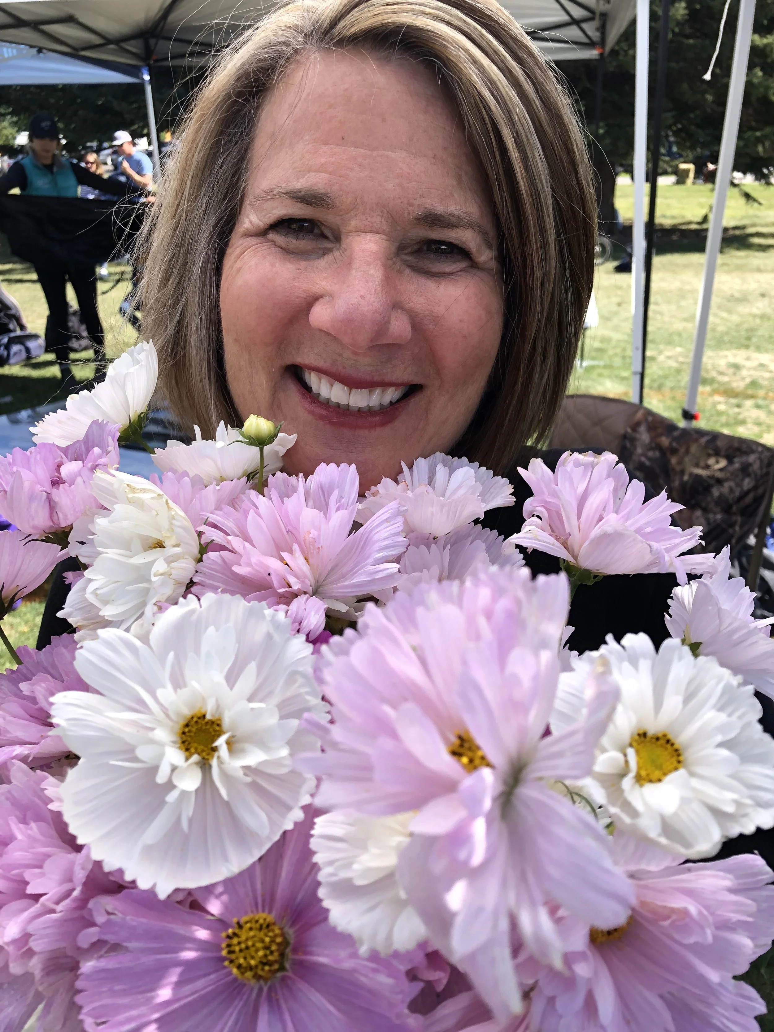 About — High Mountain Pollinators & Bees