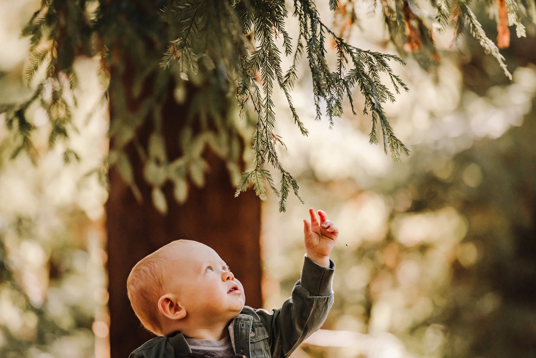 Family and Elopement Photography by Alex Gale Photography