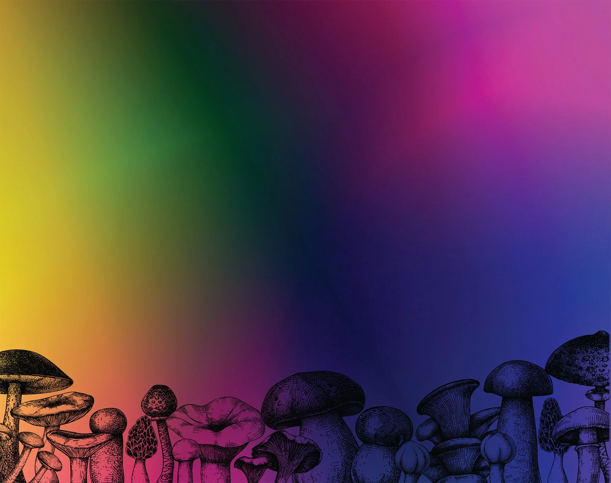 Custom Fishing Tackle, Northern Michigan Art by Sean O'Leary