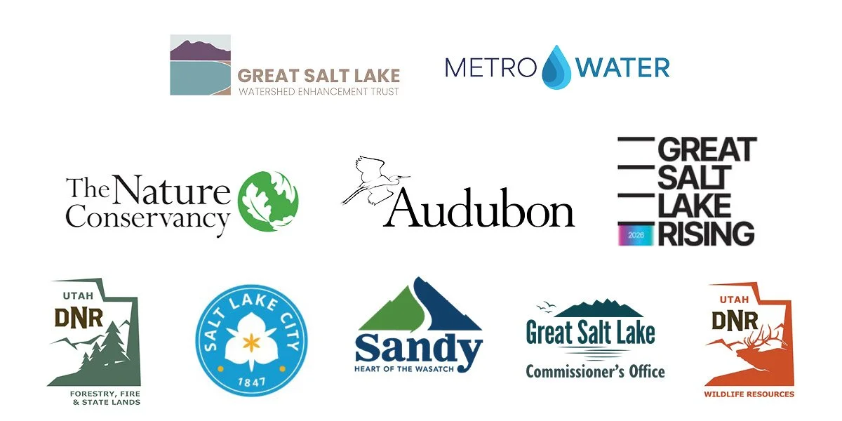 PRESS RELEASE: Urban Water Conservation Sends New Water Flows to Great ...