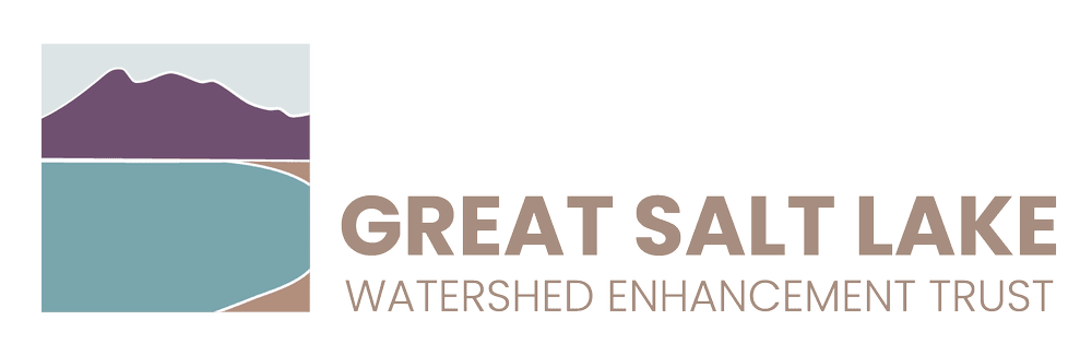 New Water Flows to Great Salt Lake’s Willard Spur Improve Habitat and ...