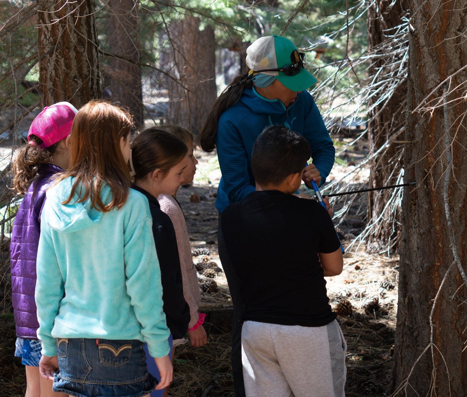 Children’s Forest for all Tahoe 3rd and 4th graders — Sugar Pine Foundation
