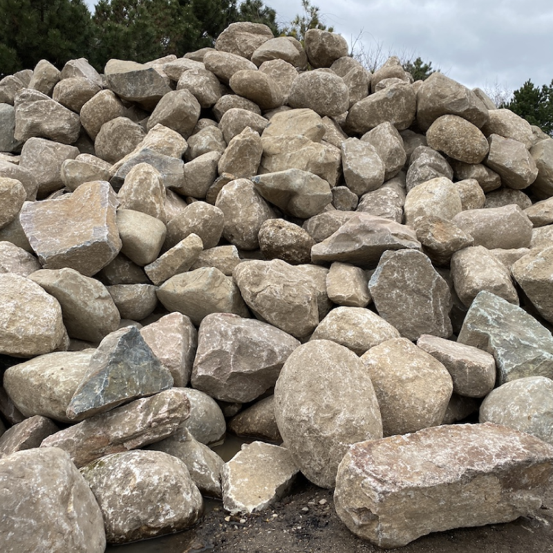 Services 1 — TM Landscaping