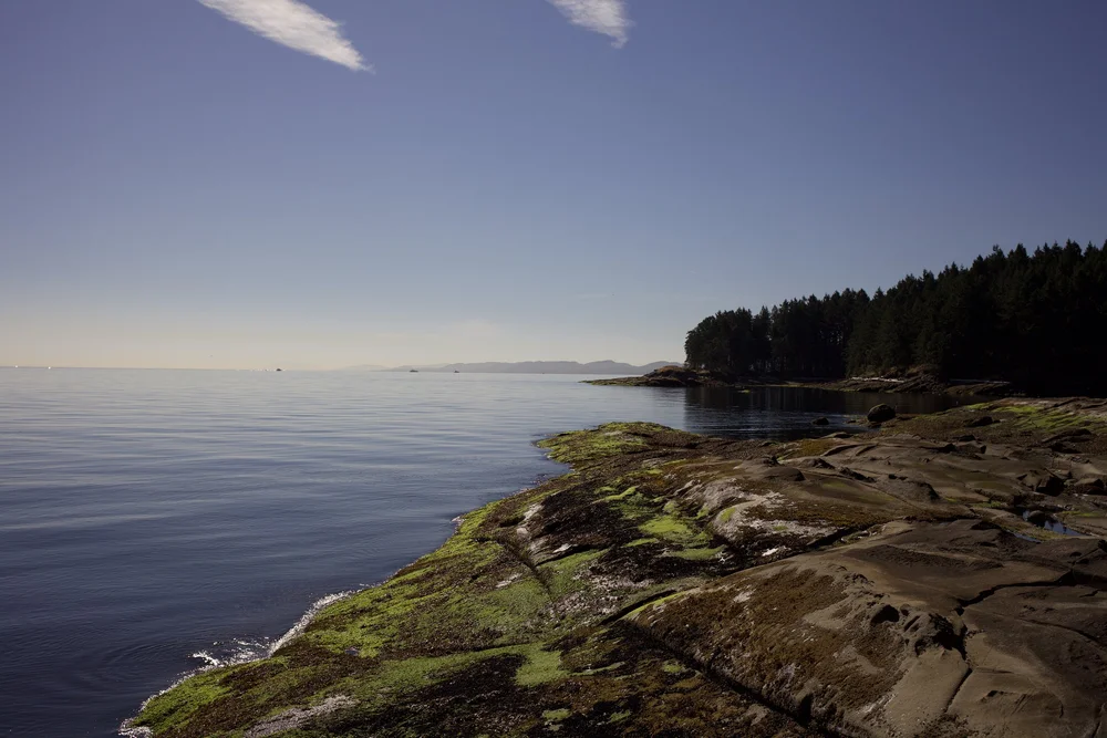 About Us — Valdes Island Conservancy