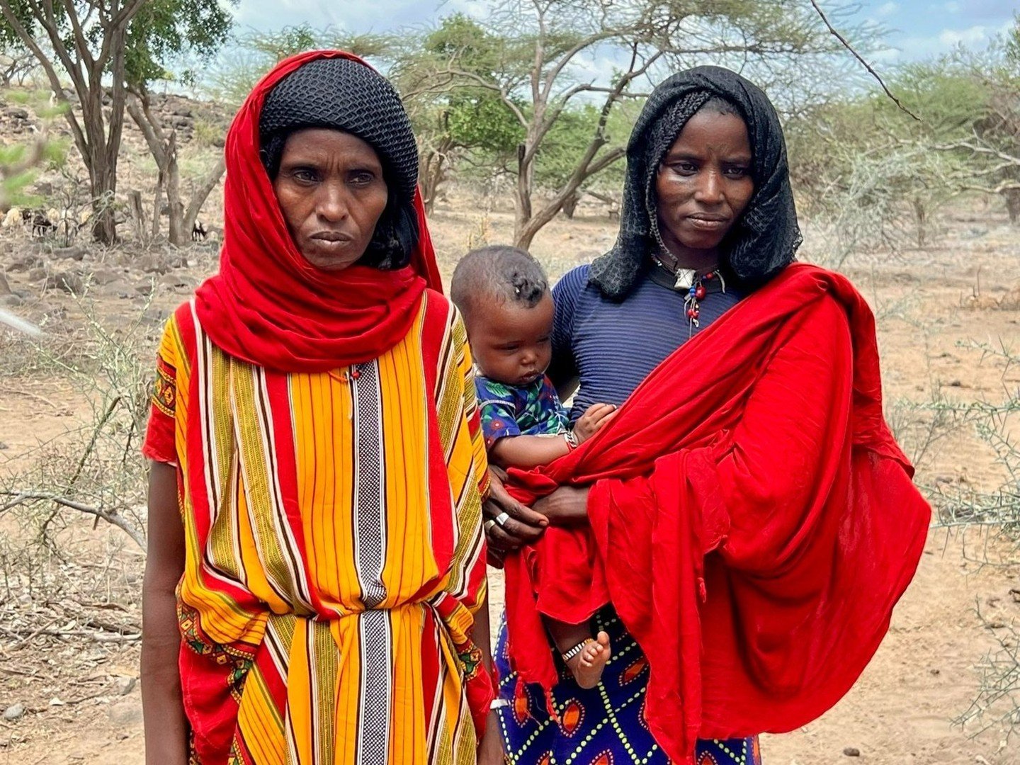 Australian Humanitarian Partnership