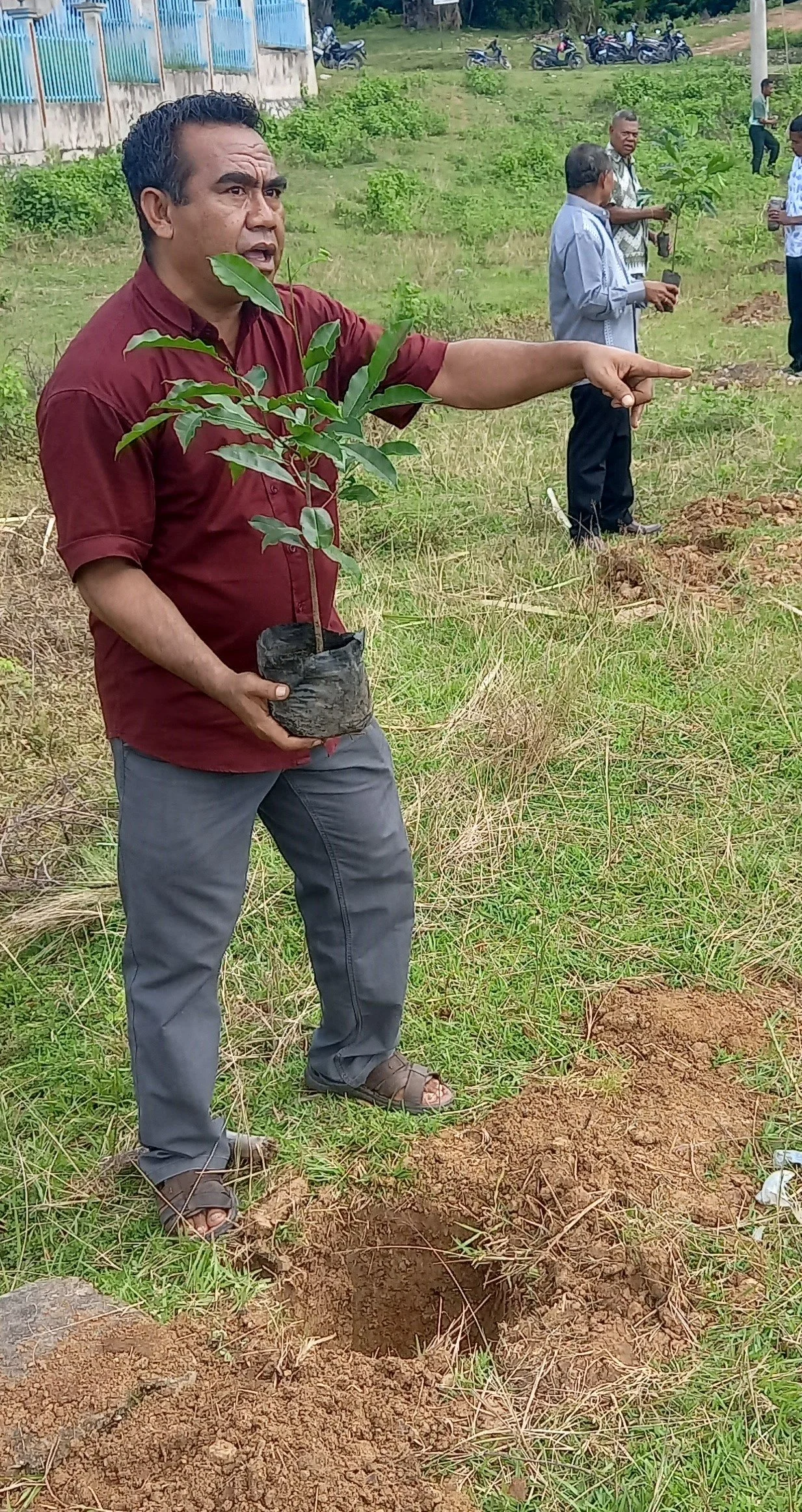 Sowing seeds of resilience