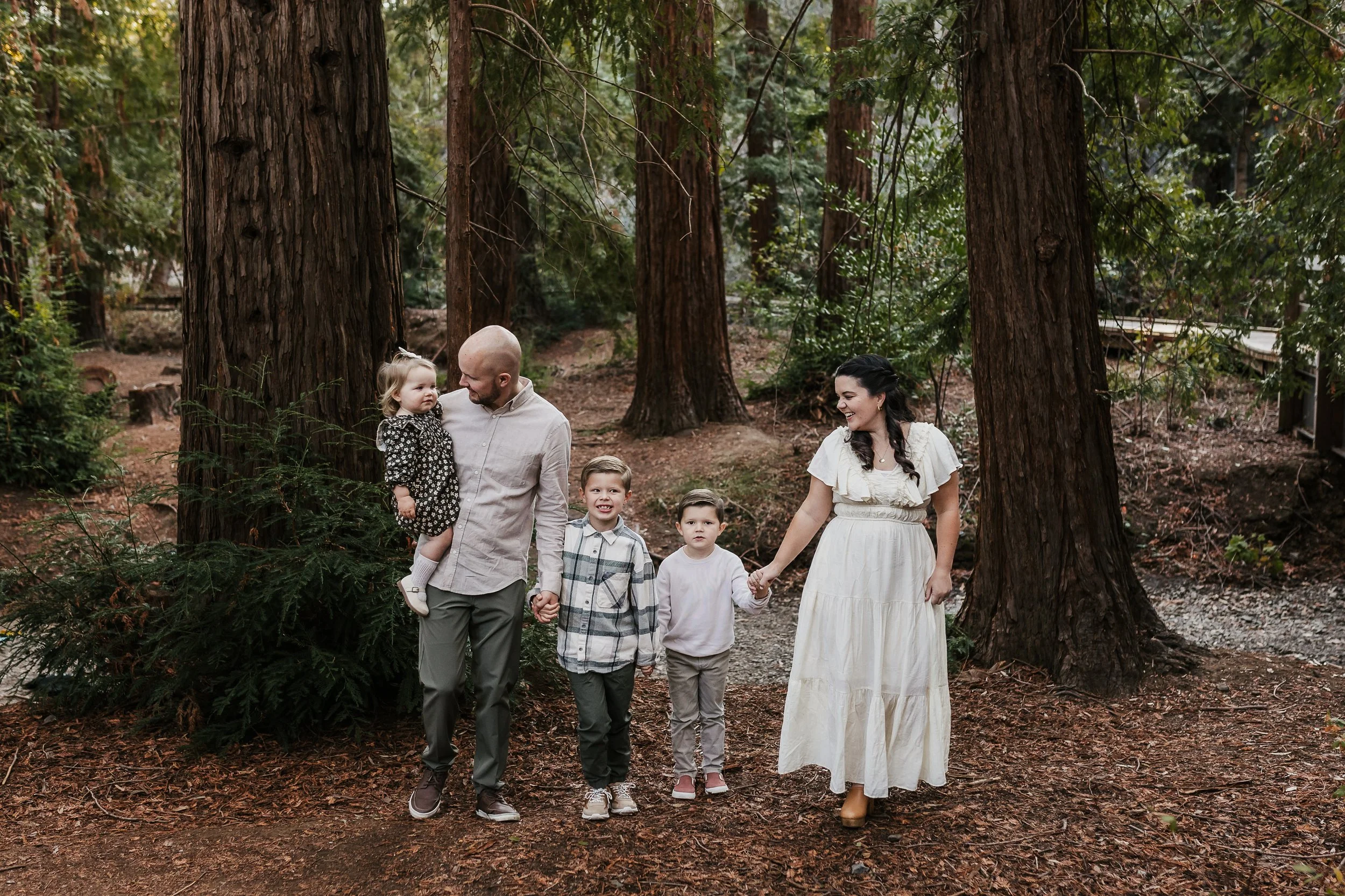Redwoods Mini Sessions in San Jose, CA | Bay Area — Abigail Alanis ...