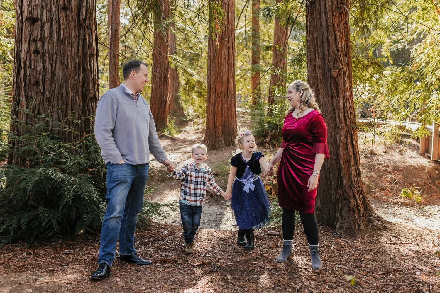 Redwoods Mini Sessions in San Jose, CA | Bay Area — Abigail Alanis ...