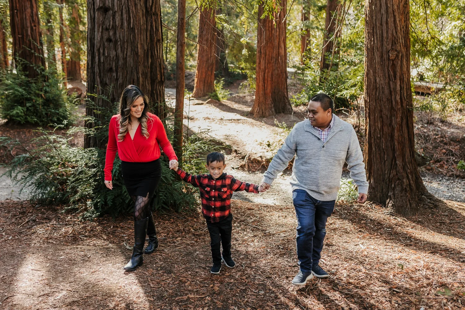 Redwoods Mini Sessions in San Jose, CA | Bay Area — Abigail Alanis ...