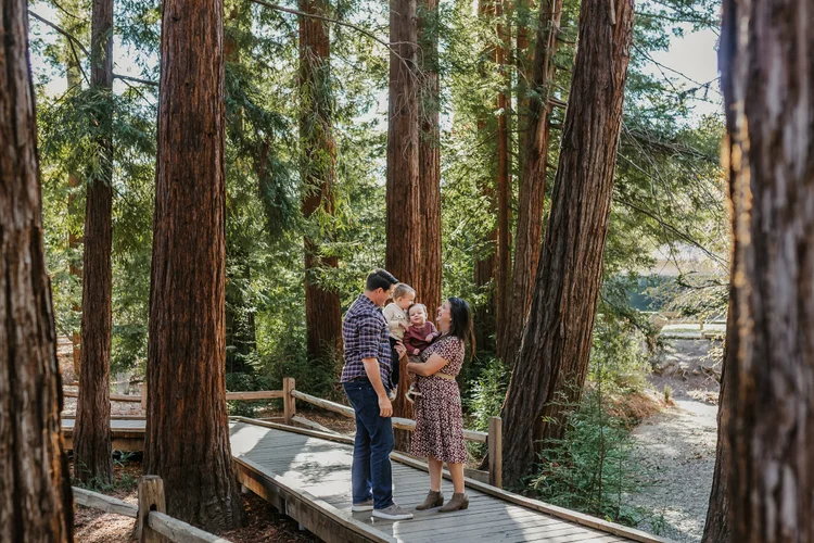 Redwoods Mini Sessions in San Jose, CA | Bay Area — Abigail Alanis ...