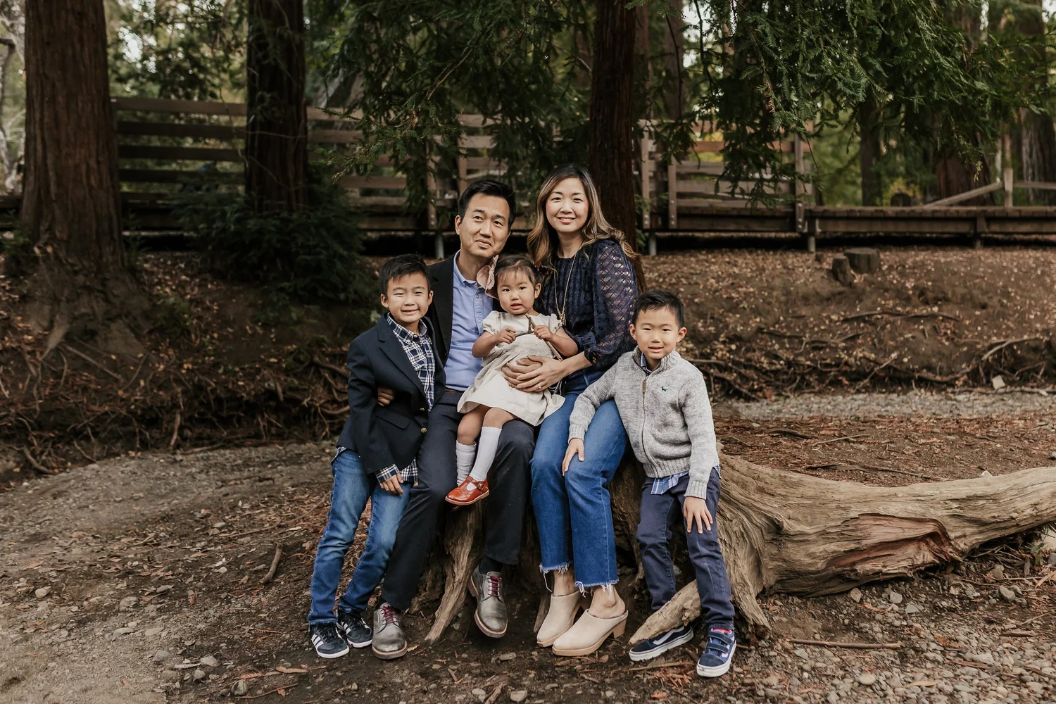Redwoods Mini Sessions in San Jose, CA | Bay Area — Abigail Alanis ...