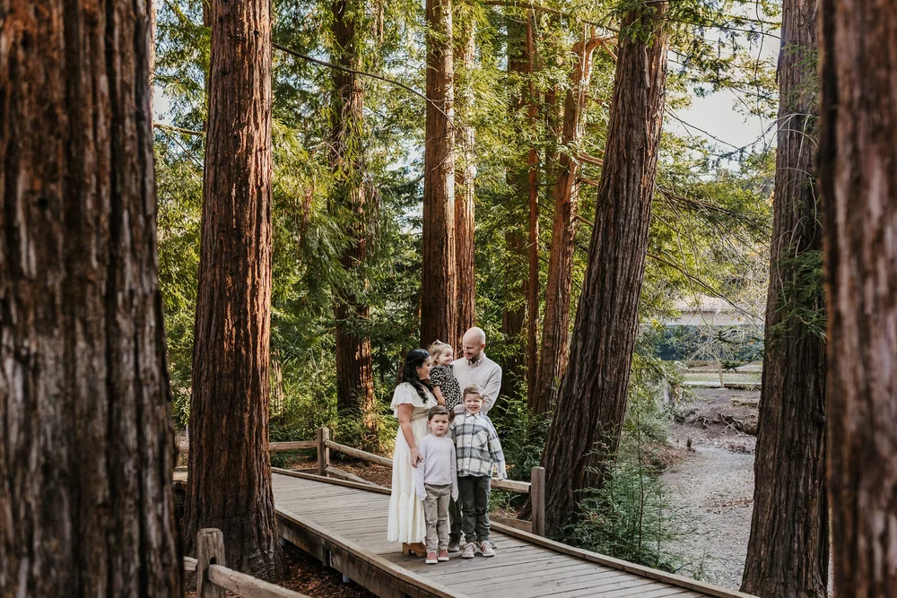 Redwoods Mini Sessions in San Jose, CA | Bay Area — Abigail Alanis ...