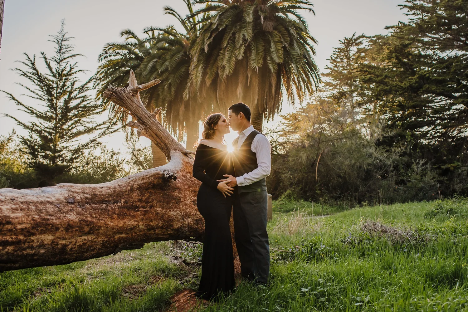Gallery 3 — Abigail Alanis Photography