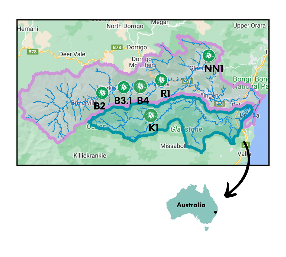 General 2 — OzGreen