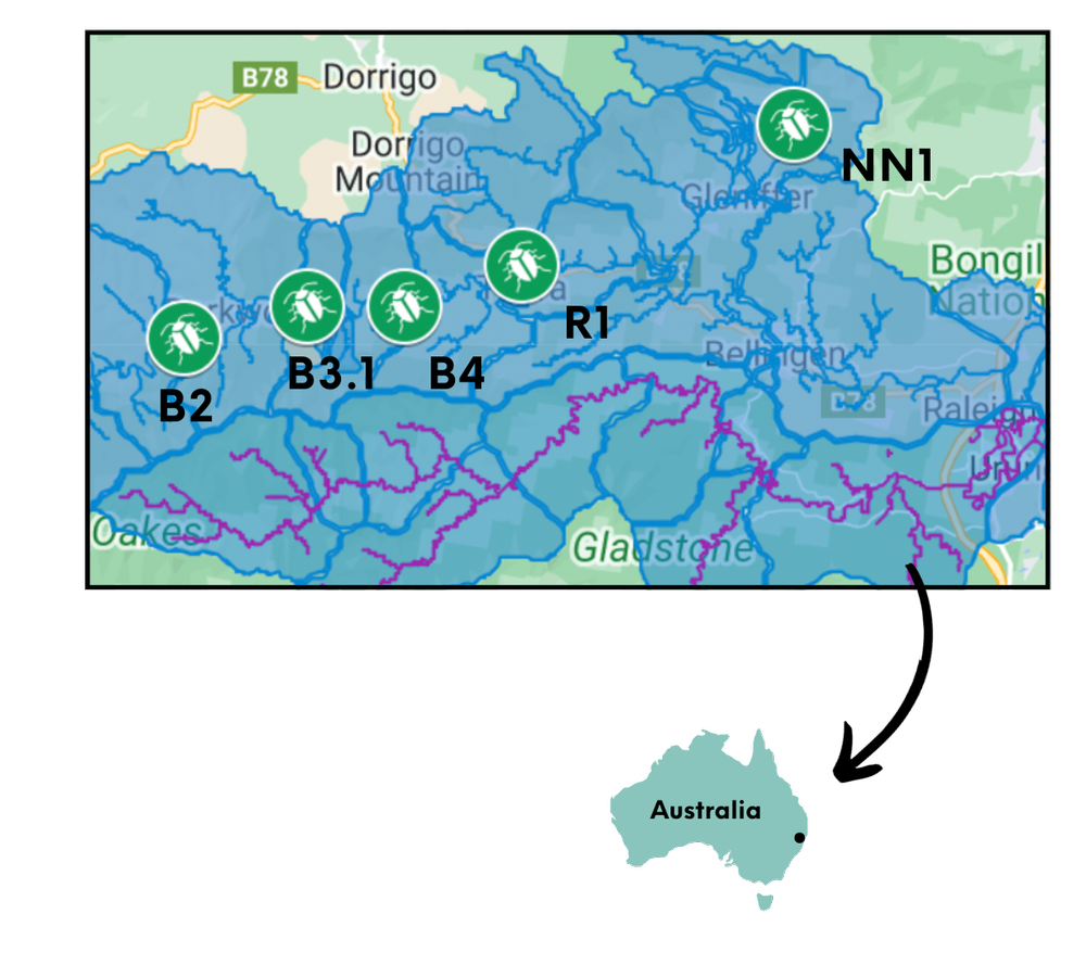 General 2 — OzGreen