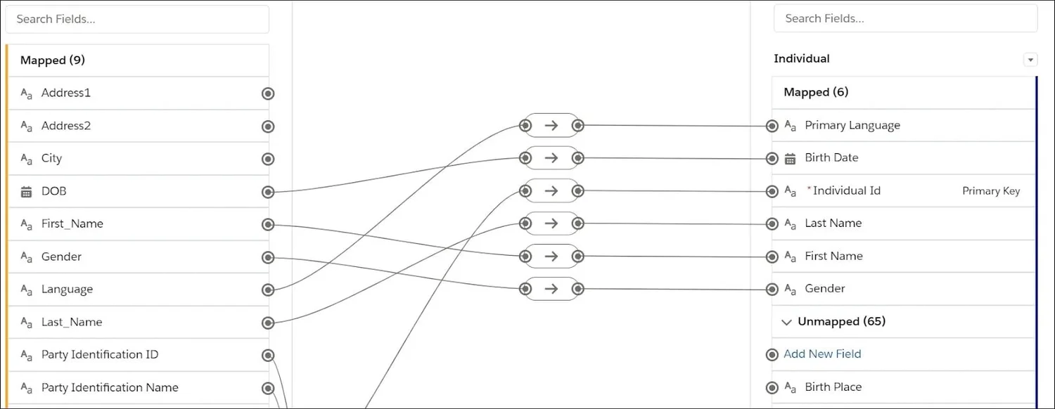 Salesforce Data Cloud Implementation Guide: Fuel Business Growth