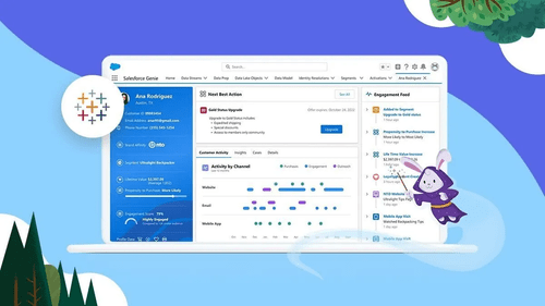 Salesforce Data Cloud Implementation Guide: Fuel Business Growth