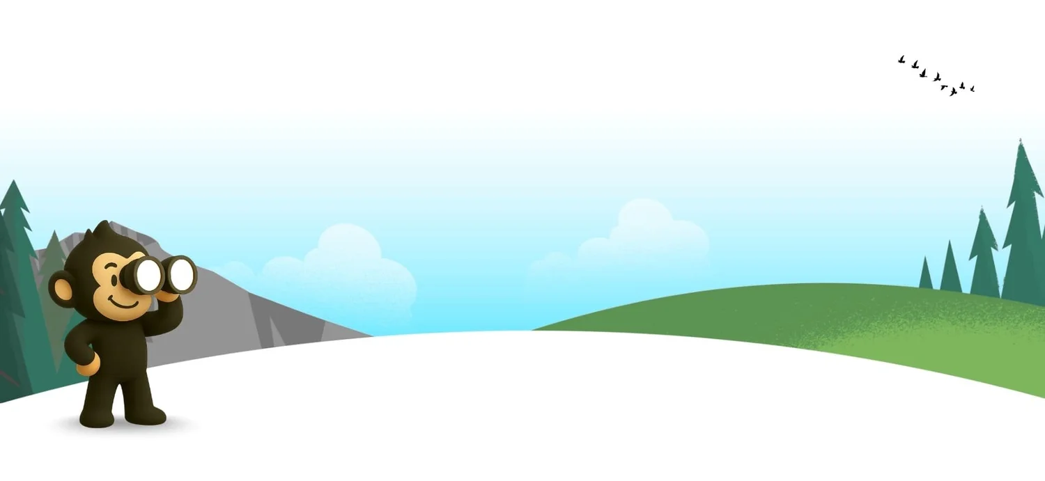 Advanced Salesforce Test Data Generator – Smock-It