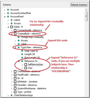 Understanding—No such column on entity 'Name' error!
