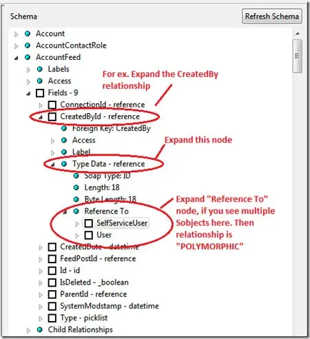 Understanding—No such column on entity 'Name' error!